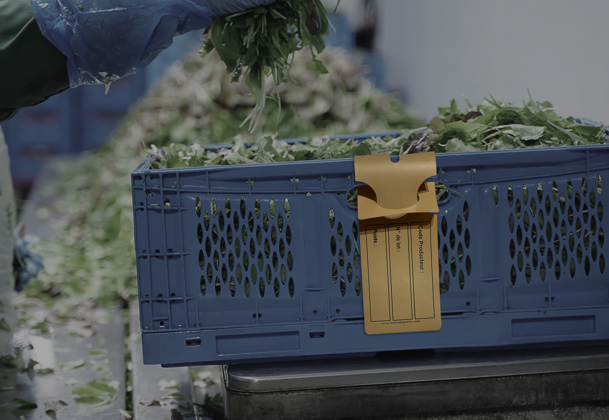 Industrie agro-alimentaire - Erem Étiquette